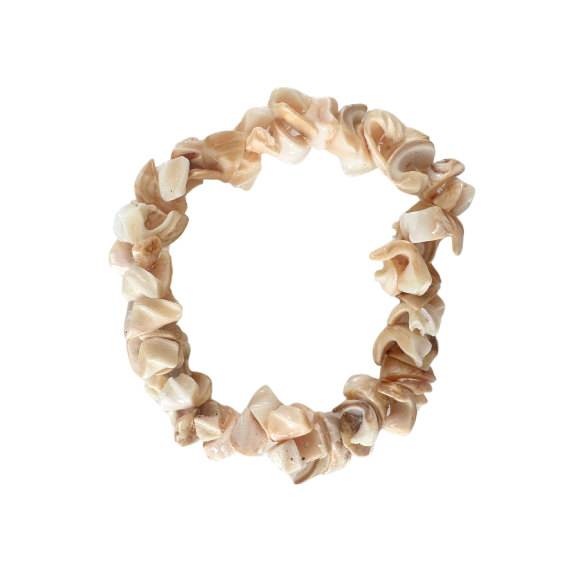 Shell Anklet – LOGAN TAY